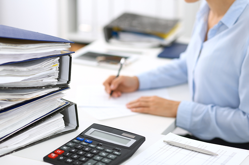 How Does Audit Defense Work How Does Audit Defense Work